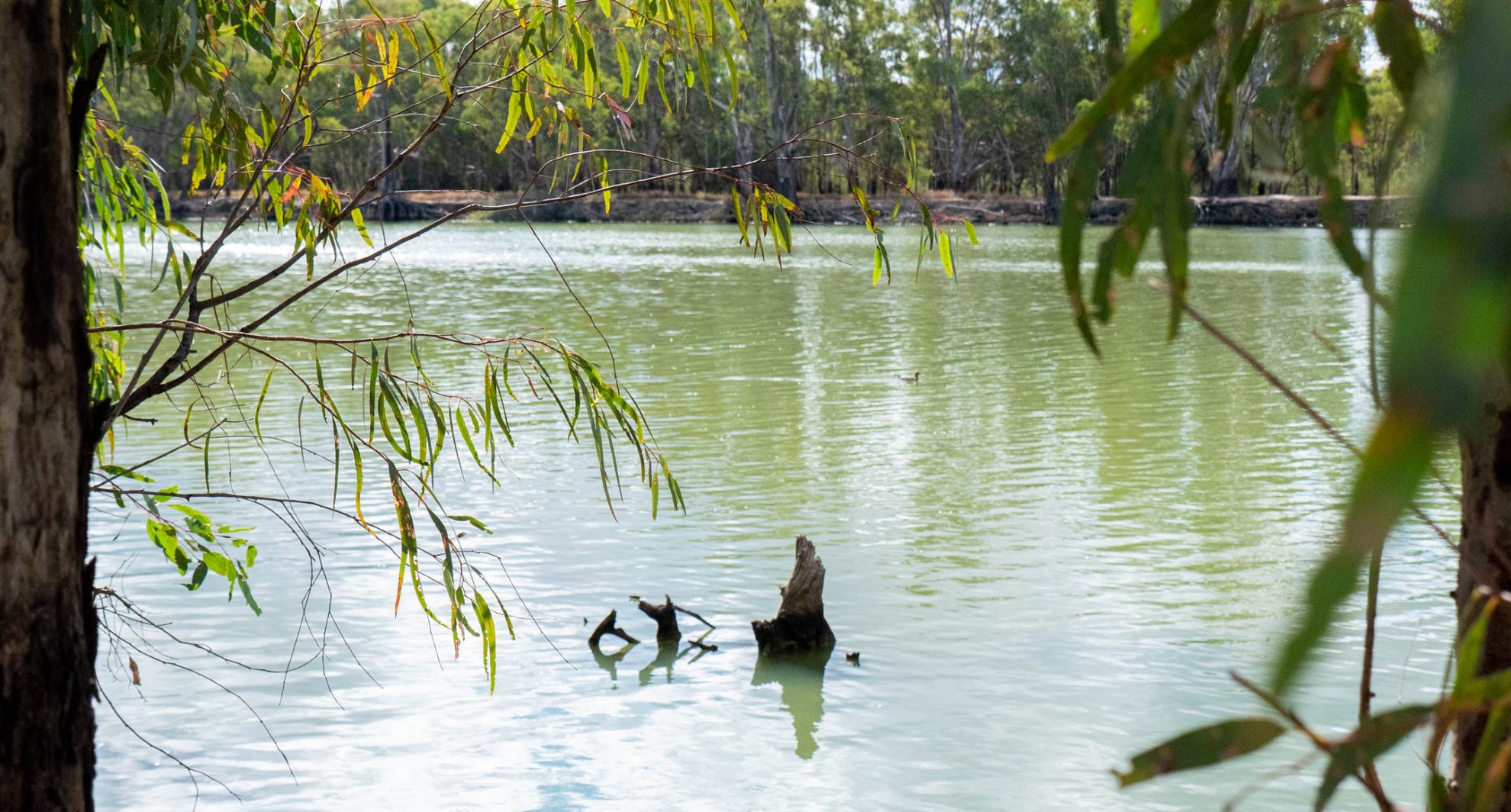 Robinvale - Welcome to Robinvale, VIC [Official Website]