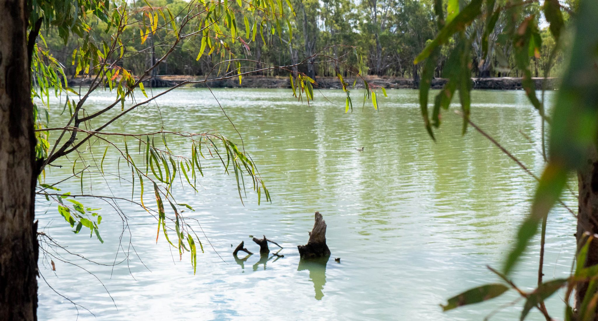 Robinvale - Welcome to Robinvale, VIC [Official Website]